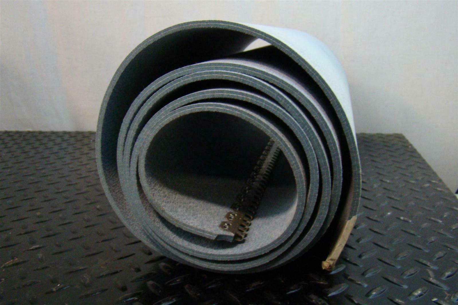 Ammeraal Beltech Inc 8'3"X18" Conveyor Belt 157258 | Joseph Fazzio ...
