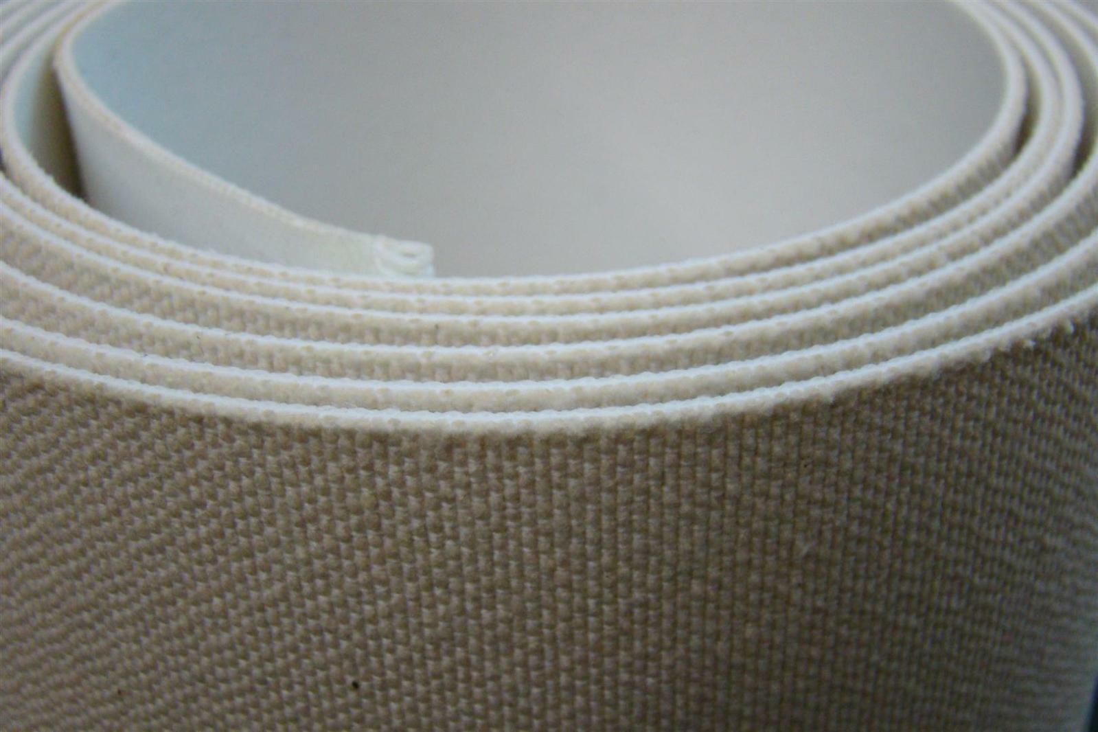 Ammeraal Beltech Conveyor Belt Fabric ES/C 6/2 0+0 PUNat FG 2PCT EC 6/2 ...