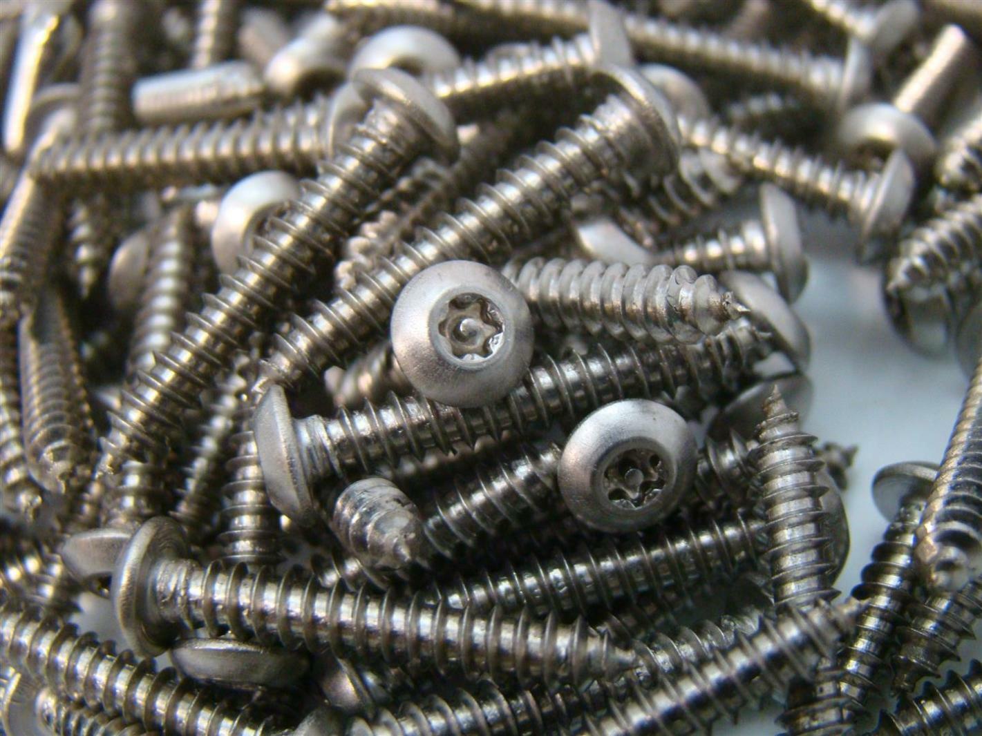 Endries Stainless Safety Screws 8X1 18-8 TX BTN HD 50741402 | Joseph ...