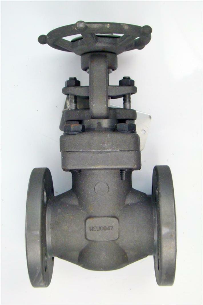 Newco 1" Class 800 Cast Iron Gate Valve 47 11F-FS2-RP-INT-NC-NACE ...