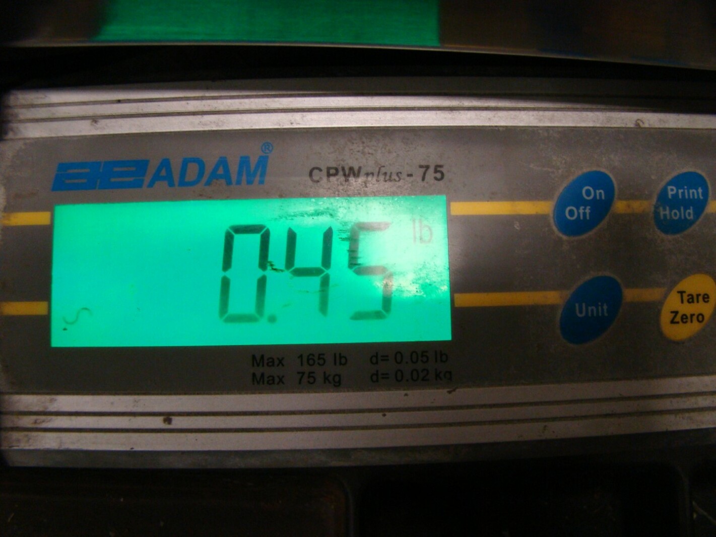 Hastings Air Filter , AF2426 | Joseph Fazzio, Incorporated