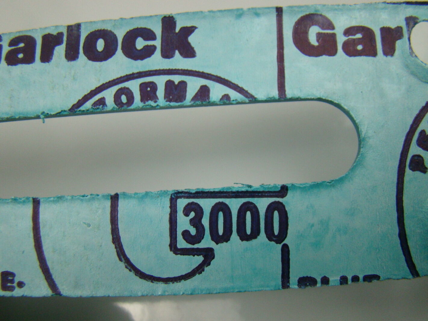 Garlock Blue-Gard Style 3000 Gaskets (30 Pieces) | Joseph Fazzio ...