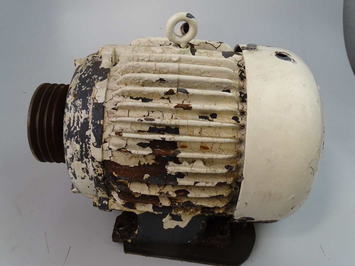 Newman 5HP Electric Motor 230/460v, G1214809 | Joseph Fazzio, Incorporated