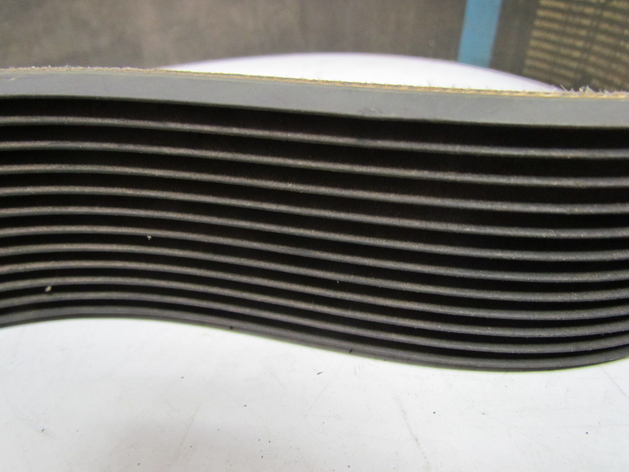 Poly V 1071 725 1227685 Ribbed Micro-V Belt 12-Rib 2-7/32" Wide 145-1/2 ...