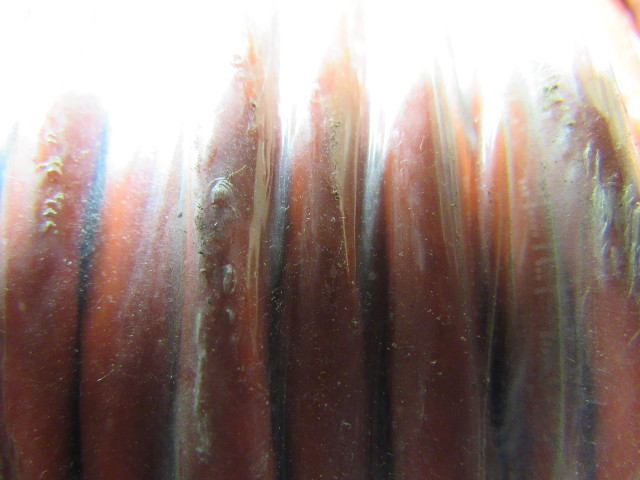 Belden 83703 002 500 16 AWG 3 Cond Braid over Foil Shield Plenum Cable ...