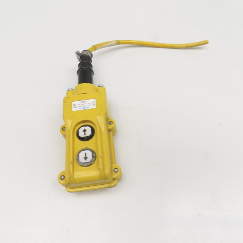Auspicious HS61 2 Button Pendant Control 600VAC 10A | Bullseye ...