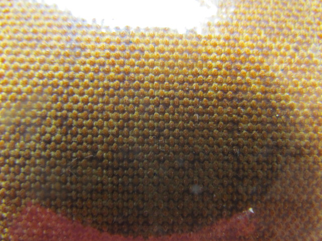 3 ply red rubber rough top incline conveyor belt 18ftx2-1/4" 9/32 ...