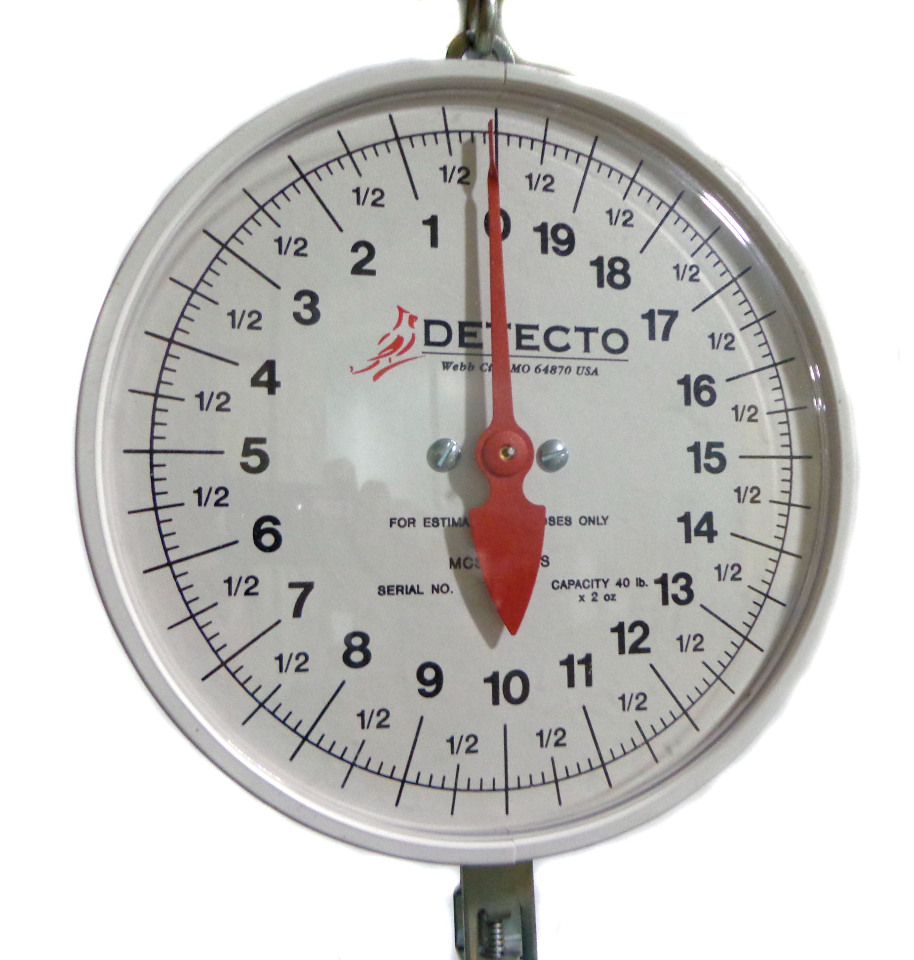 Detecto Hanging Scale Model MCS-40DF SCale for Produce Fish Meat