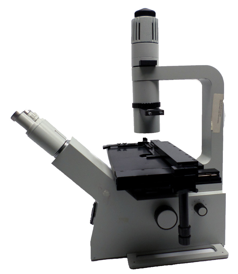 Aus Jena Telaval 3 Inverted Binocular Microscope with B & L Eyepiece ...