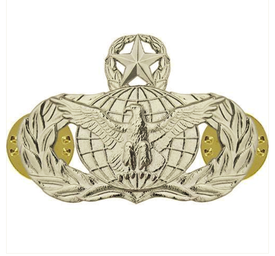 Vanguard AIR FORCE BADGE: FORCE PROTECTION: MASTER - REGULATION SIZE ...