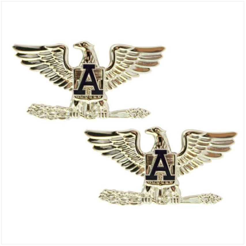 Vanguard COAST GUARD AUXILIARY COAT DEVICE: DISTRICT CAPT/CHIEF OF ...