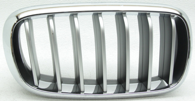 OEM BMW X6 Right Grille Surface Marks 51137373698 | Alpha Automotive