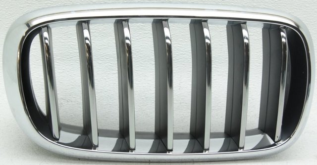 OEM BMW X5 Right Passenger Side Grille 51137316062 | Alpha Automotive