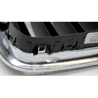 OEM BMW X5 Right Passenger Side Grille 51137316062 | Alpha Automotive